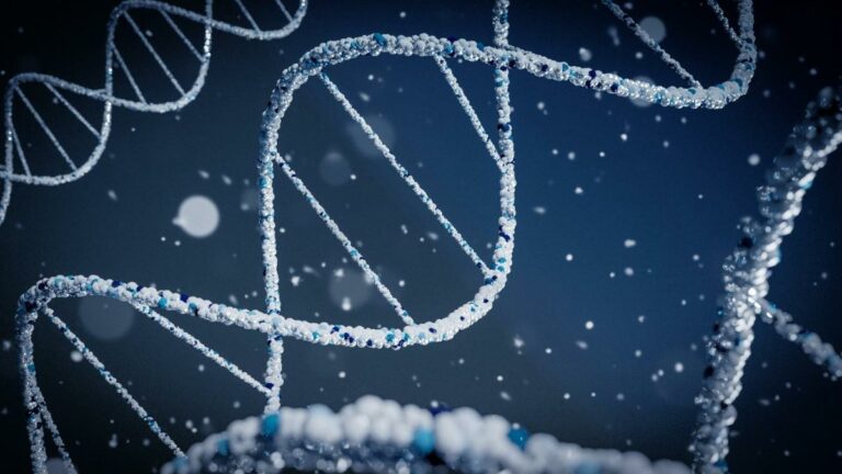 How to Interpret DNA Test Results - Genetic Voyage