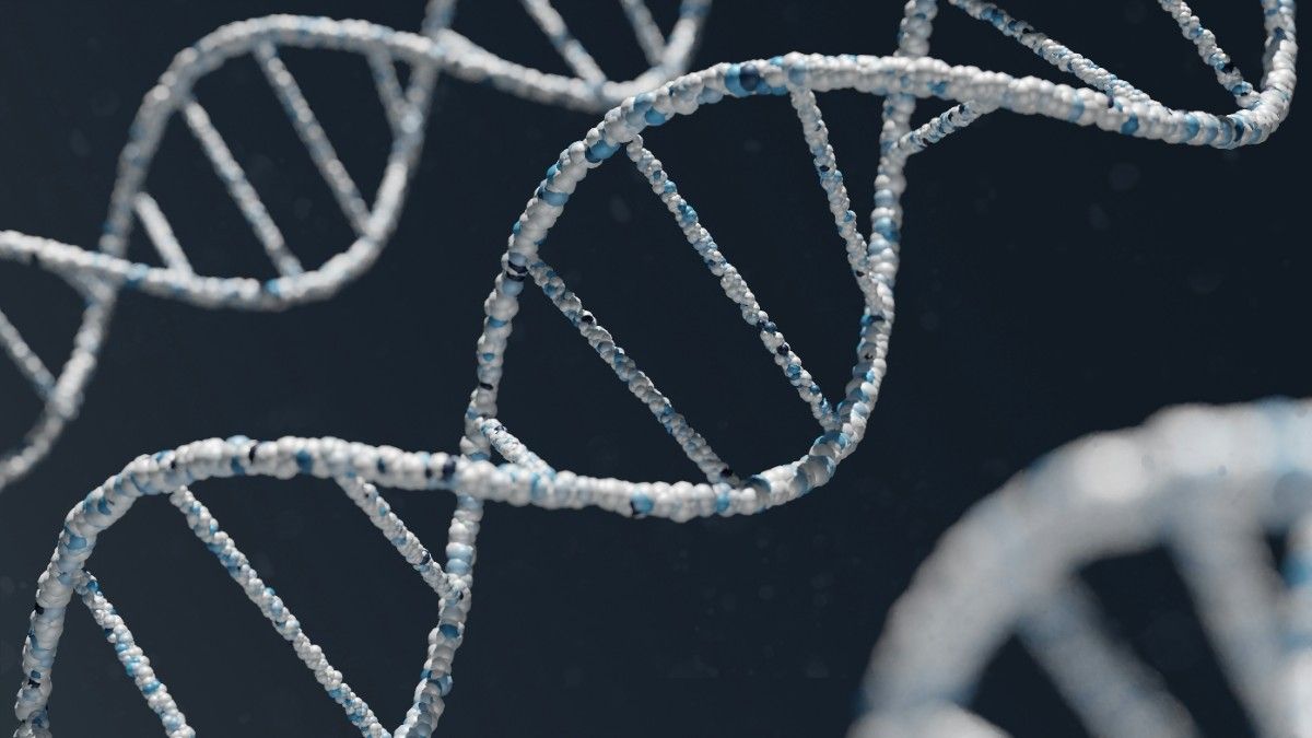 How to Interpret DNA Test Results - Genetic Voyage
